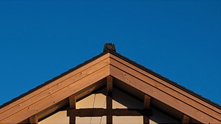 Bridging the Pacific